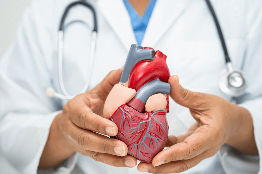 What Is a Cardiologist? Career Path & How to Become One